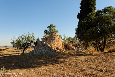 Samaria and the Center - BiblePlaces.com