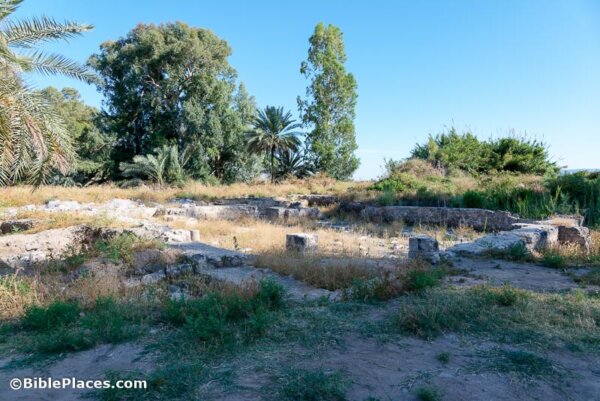 Weekend Roundup, Part 2 - BiblePlaces.com