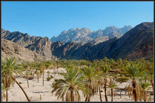 September 2024 Newsletter - BiblePlaces.com